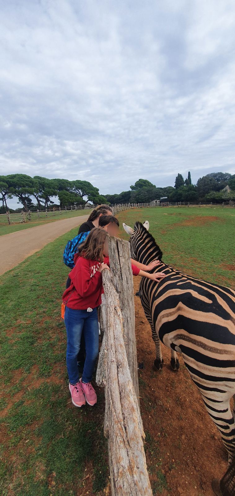 Izlet u Nacionalni park Brijuni